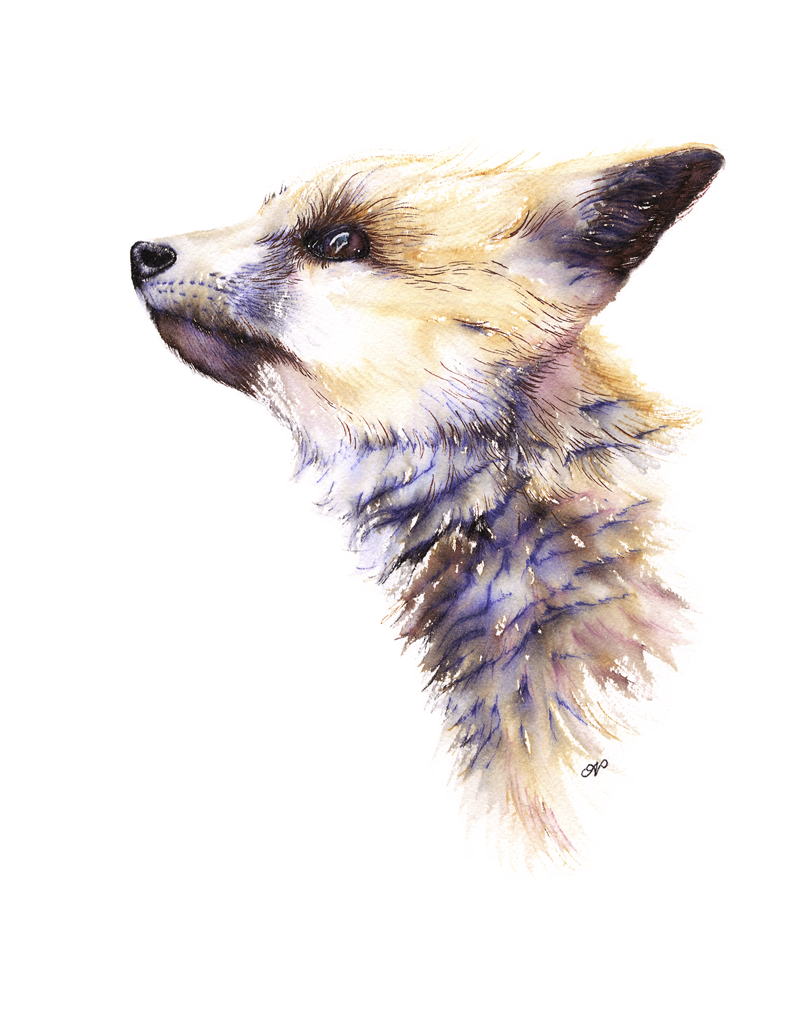 Fox Cub Print – Aimee Nesbitt Designs